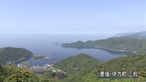 「軍神」の物語の裏に隠された “捕虜第一号”となって「生きること」を決意した兵士【夏休みに振り返る 戦争の記憶】 特集 ニュース