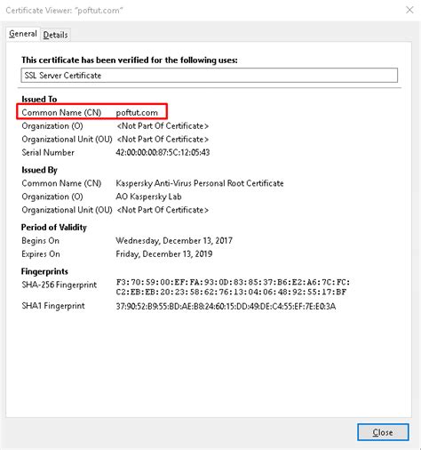 what is ssl certificate cn common name and usage poftut