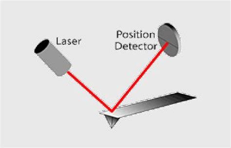 1 2 8 Schematic Diagram Of Laser Beam Deflection In An Afm System [15