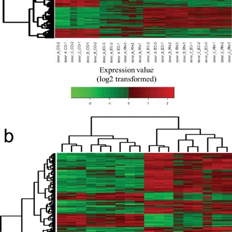 Microarray Based Heat Maps Of Differentially Expressed Gene Probes In