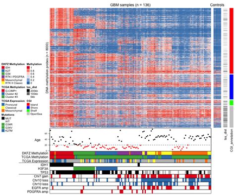 complexheatmap