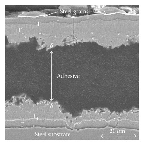Sem Image Of Cross Section Of Bonded Joint Download Scientific Diagram