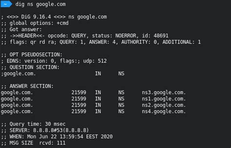 how to find nameservers for a domain in linux systran box