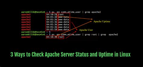 learn apache web server tutorial unbrick id