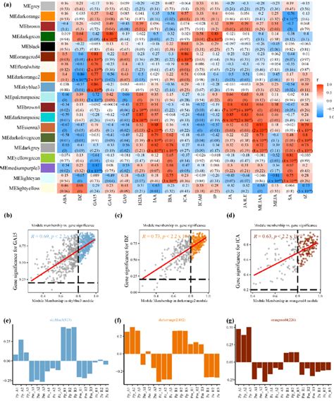 Weighted Gene Co Expression Network Analysis Of The Genes A