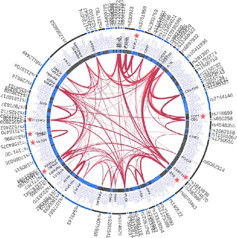 gene gene connections found by grail based on the novartis gene