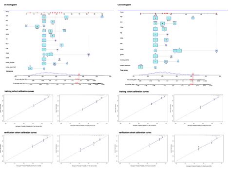 Os And Css Nomograms And Calibration Curves The Total Score Obtained