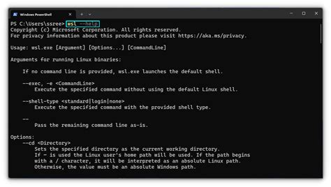 Basic Wsl Commands You Should Know