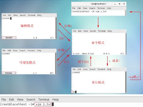 linux入门教程：linux文件管理命令汇总