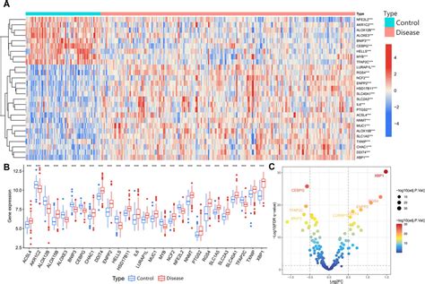 Frontiers Identification Of Disulfidptosis And Ferroptosis Related