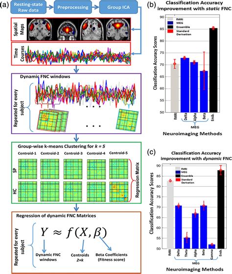 Schematic Description Showing The Multimodal Meg‐fmri Classification
