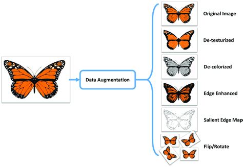 simple audio augmentation with pytorch jonathan bgn