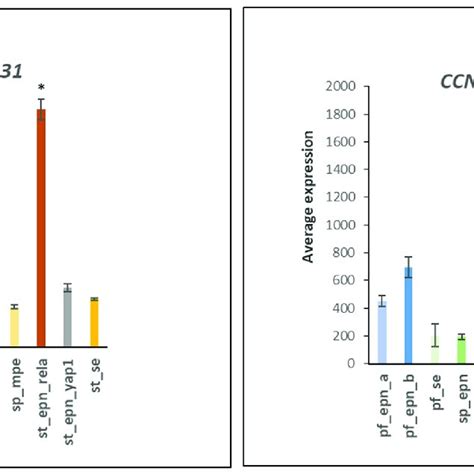 Differential Expression Of Genes Encoding E1 Ubiquitin Activating