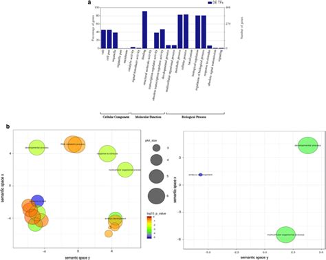 A Gene Ontology Functional Classifications Of Differentially Expressed