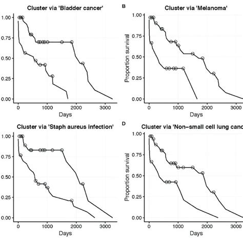 Lusc Patient N 51 32 Deaths Survival Curves Subgroups