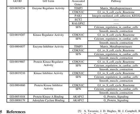 Go Terms And Pathways Which Are Enriched In Molecular Functions Of The