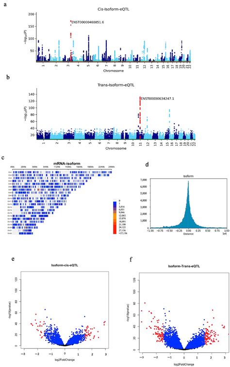 Ijms Free Full Text Identification Of Candidate Mrna Isoforms For