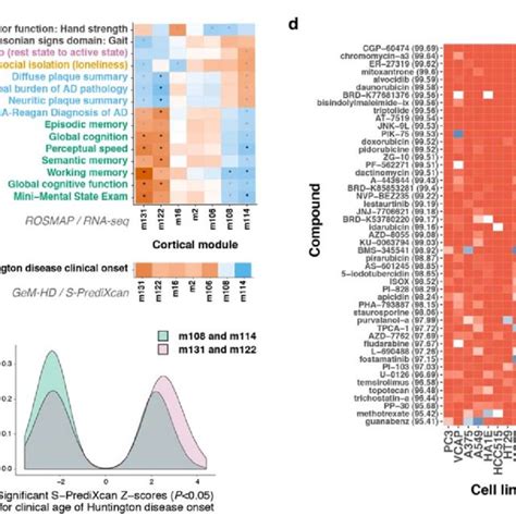 Expression Of A Subset Of Cortical Gene Coexpression Modules Influences