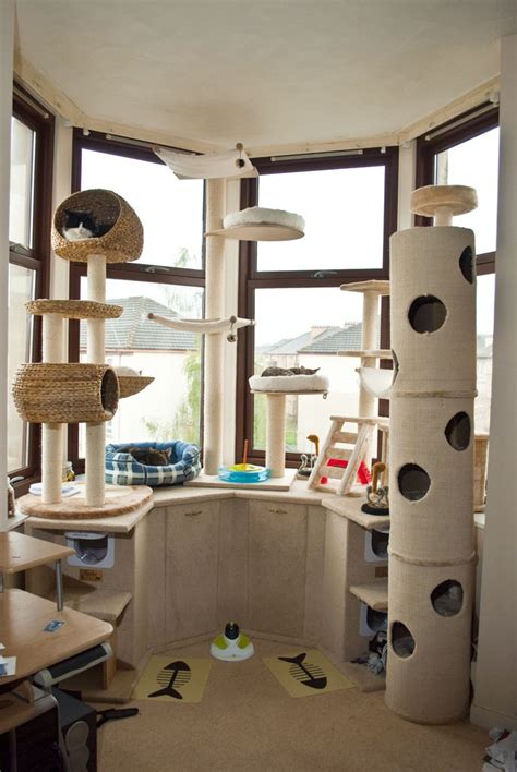 15 Incredible Cat Adventure Playgrounds And Their Ungrateful Residents