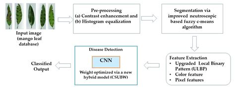 Computers Free Full Text Botanical Leaf Disease Detection And