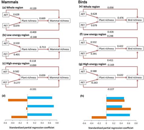 Structural Equation Models Sem Of Vertebrate And Plant Richness And