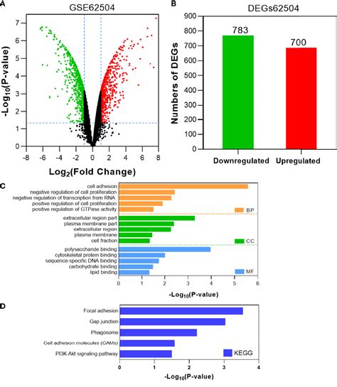 Frontiers Identification And Validation Of Afatinib Potential Drug