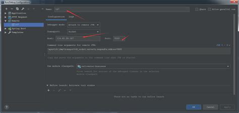 idea远程debug springboot项目