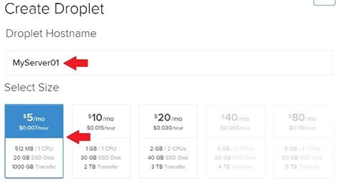 How To Install Wordpress On Digitalocean Using Serverpilot