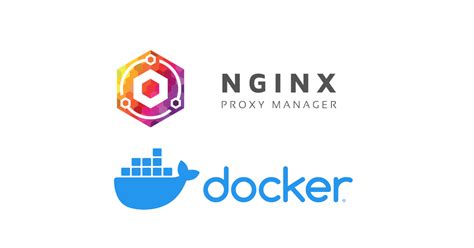 part 5 how to set up nginx proxy manager using docker compose anebula