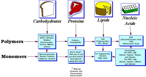 Biomolecules My Sites