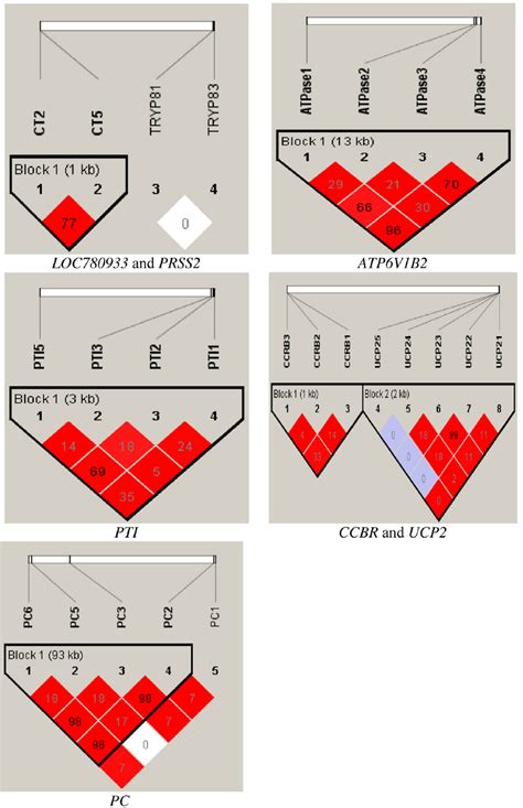 The Extent Of Linkage Disequilibrium R 2 Between Pairs Of Snp And