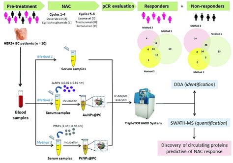 A Schematic Diagram Of Experimental Workflow A Schematic Diagram Of