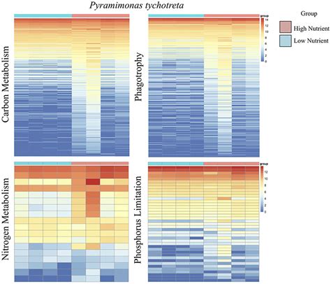 frontiers evaluation of mixotrophy associated gene expression in two