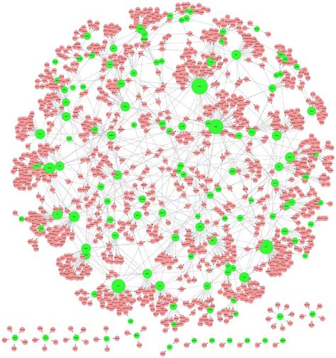 Regulatory Network Among Tfs And Their Target Genes The Green Nodes