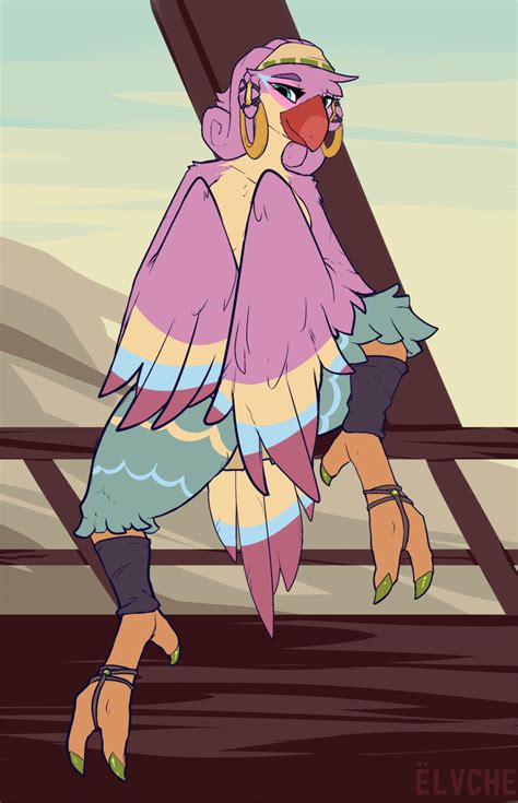 Rule 34 2020 Animated Avian Breath Of The Wild Clothed Clothing