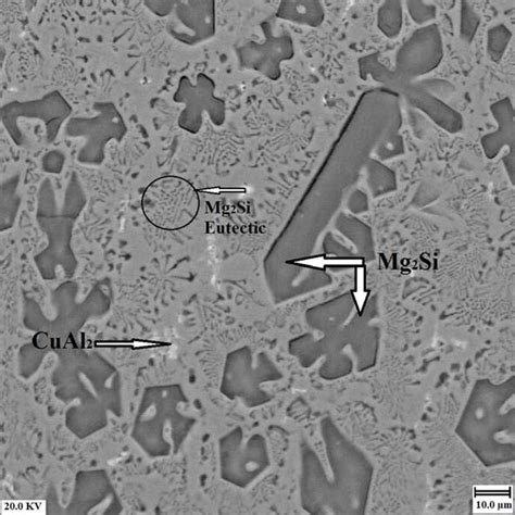 Sem Microstructure Of Squeeze Cast Mg 2 Si Al Si Cu Composite