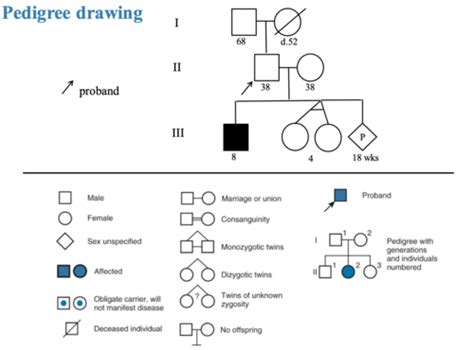 Mcg Mendelian And Non Mendelian Inheritance Flashcards Quizlet
