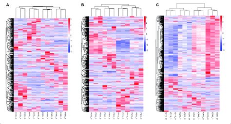 Hierarchical Clustering Heatmap Of Degs In The Three Tissues Of Hpo