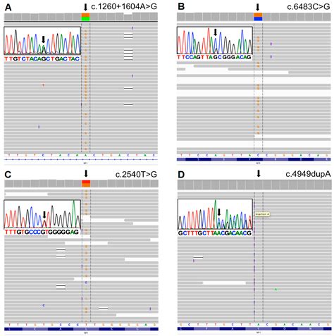 Genes Free Full Text Hybridization Capture Based Next Generation