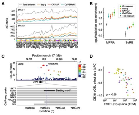 Fine Mapping Of Cis Eqtls A Number Of Egenes Per Tissue With