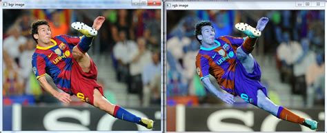 extracting a region from an image using slicing in python
