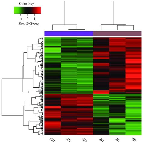 Cluster Analysis Of Degs Degs Differentially Expressed Genes Ib