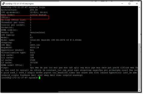 [nginx] worker process