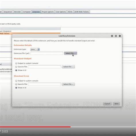 syss tool tip video burp extender json api für portswigger burp suite
