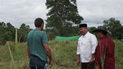 Edi Damansyah Mau Kukar Bisa Jadi Pemasok Daging Terbesar Untuk Ikn