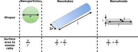 Schematic Illustration Of Surface Area To Volume Ratio For Different