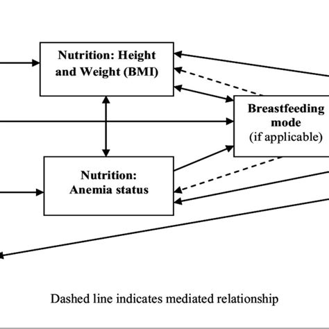 Conceptual Framework For Examining The Relationship Between Hiv And