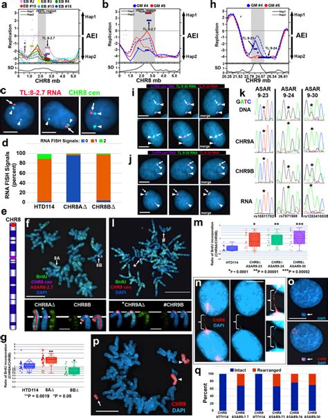 Gm12878 Cells Atcc Bioz