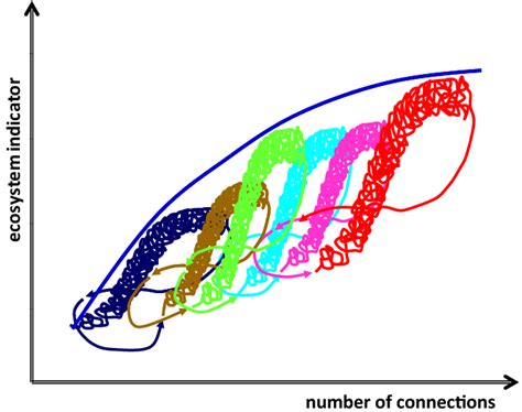 Adaptive Cycles Occur At Multiple Temporal As Well As Spatial Scales