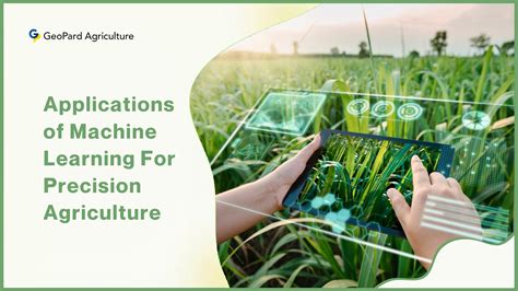 Applications Of Machine Learning For Precision Agriculture Geopard